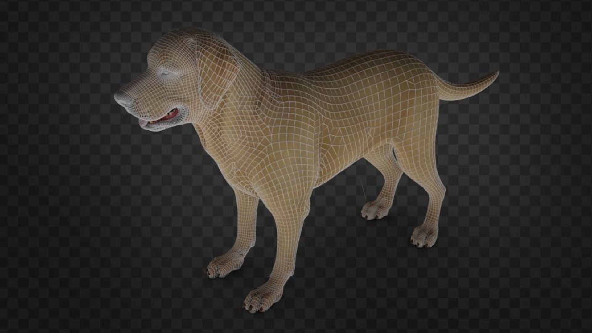 3D Dog Animal Labrador Model - TurboSquid 1245416