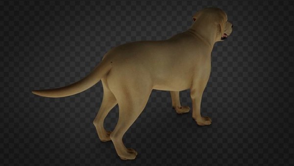 modelo 3d perro animal Labrador perro Hound - TurboSquid 1245416