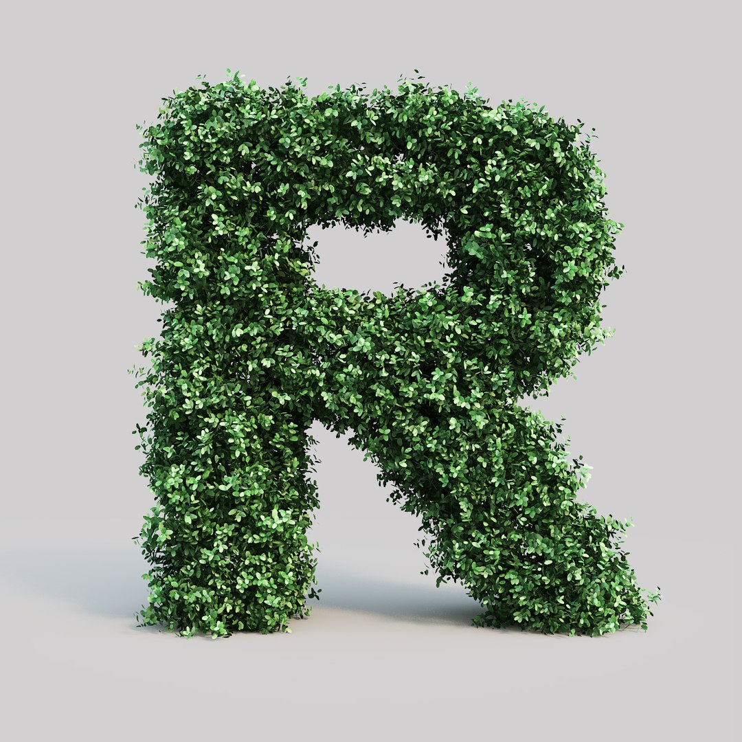 alphabet r buxus max