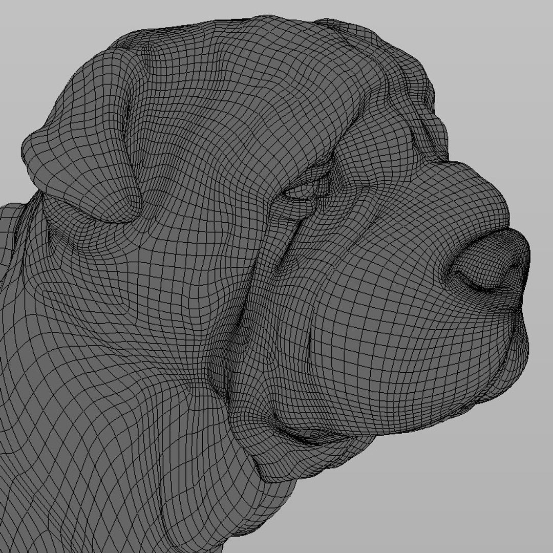 3d Model Shar Pei