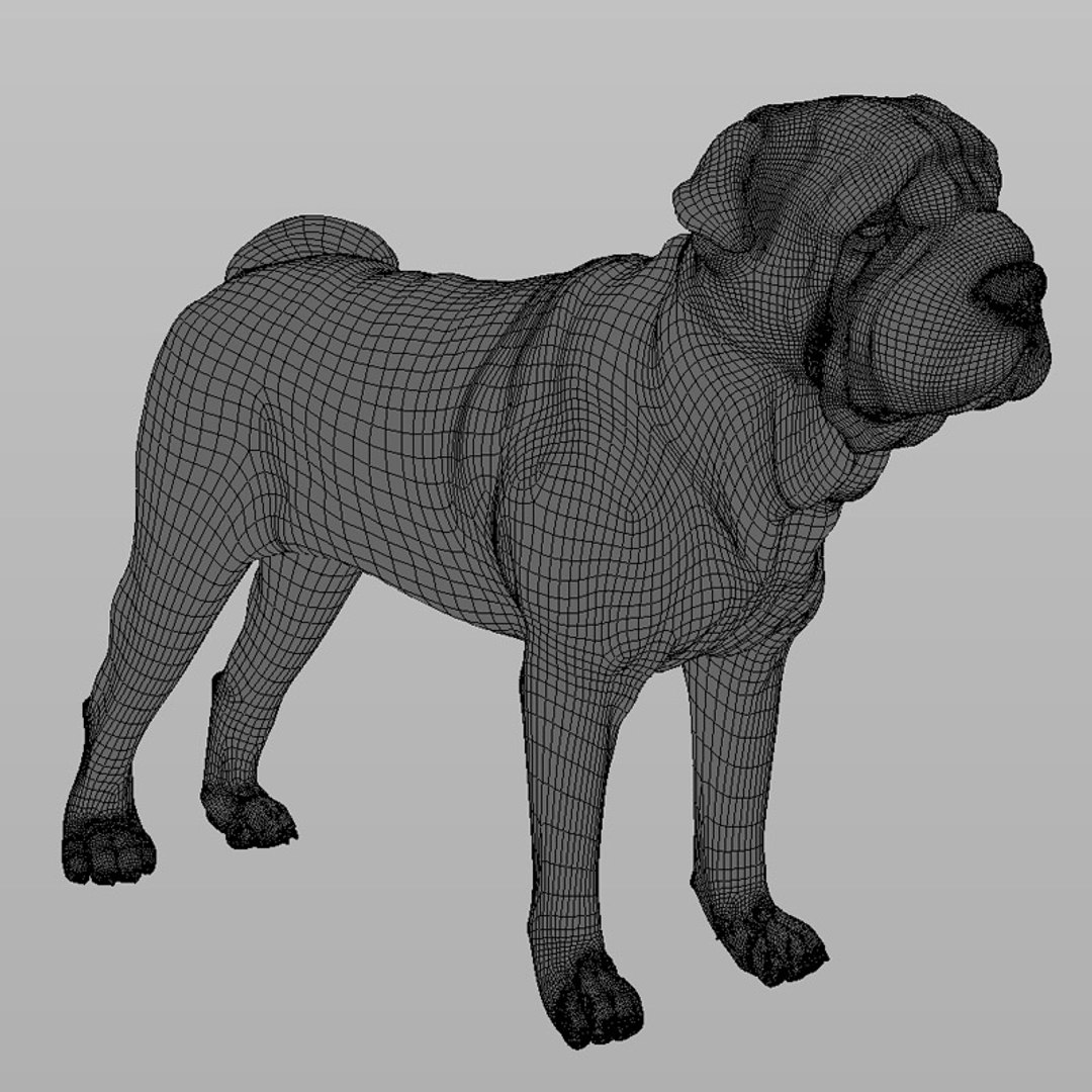 3d Model Shar Pei