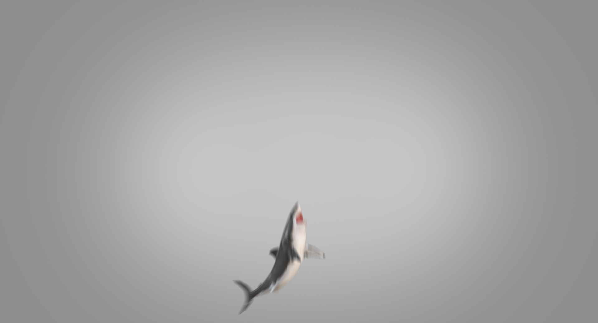 3D Shark Animation White - TurboSquid 1346790