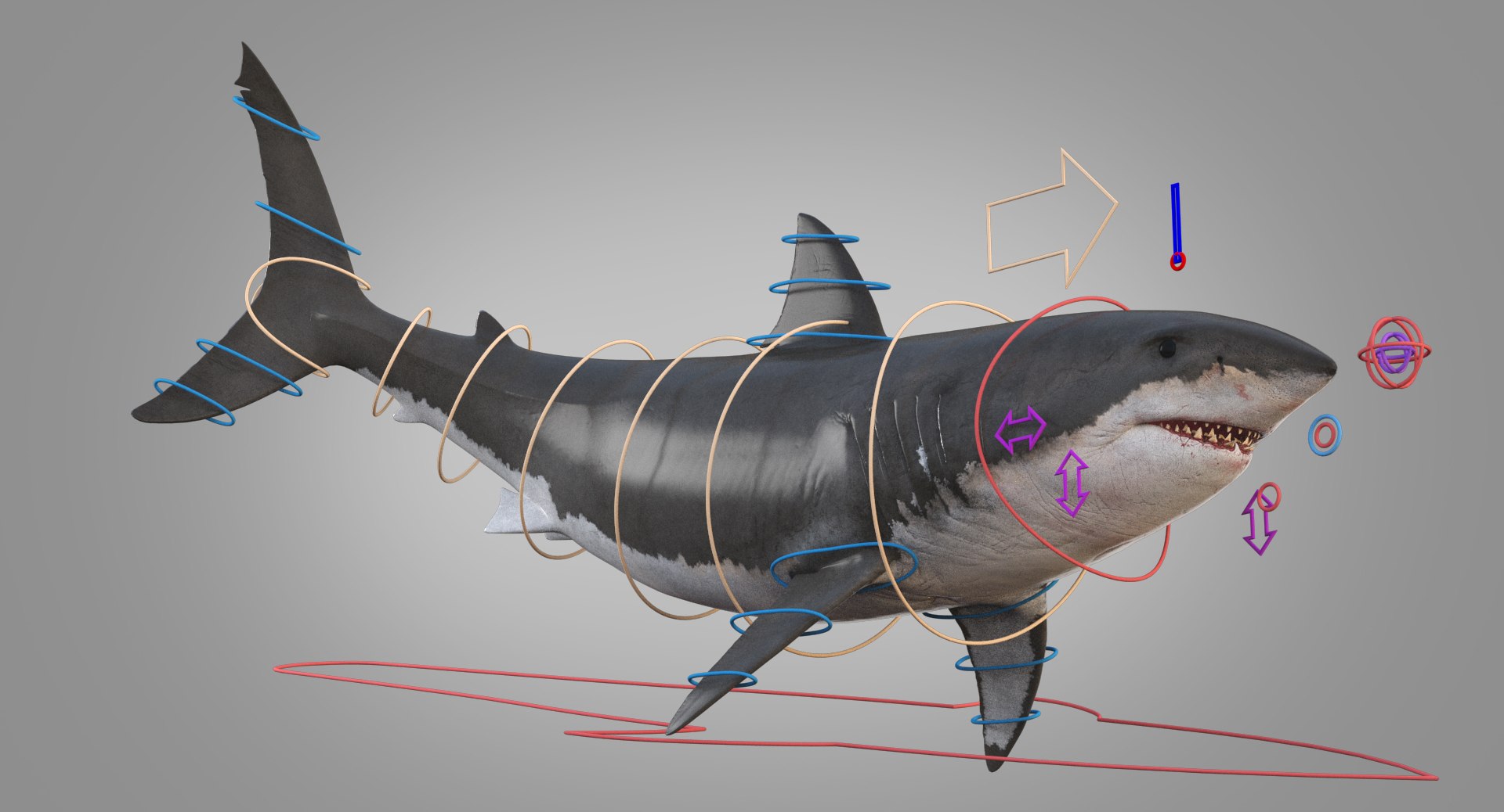 3D shark animation white - TurboSquid 1346790