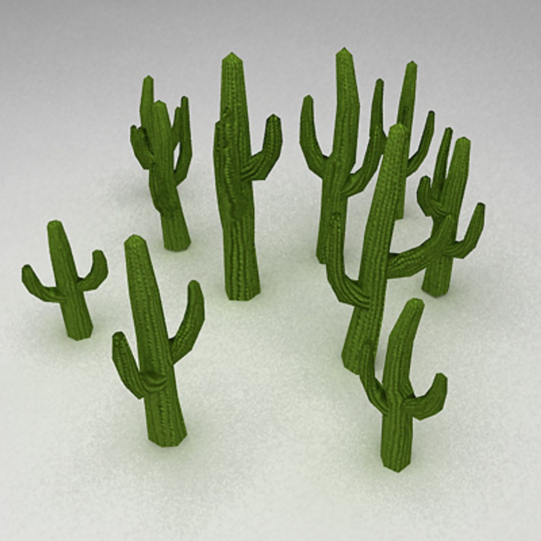 Cactus 3d Model