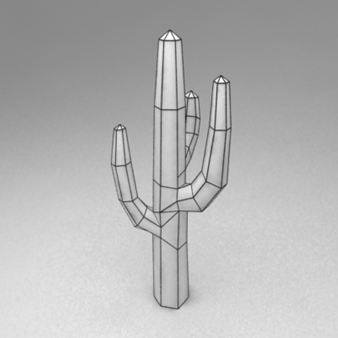 Cactus 3d Model