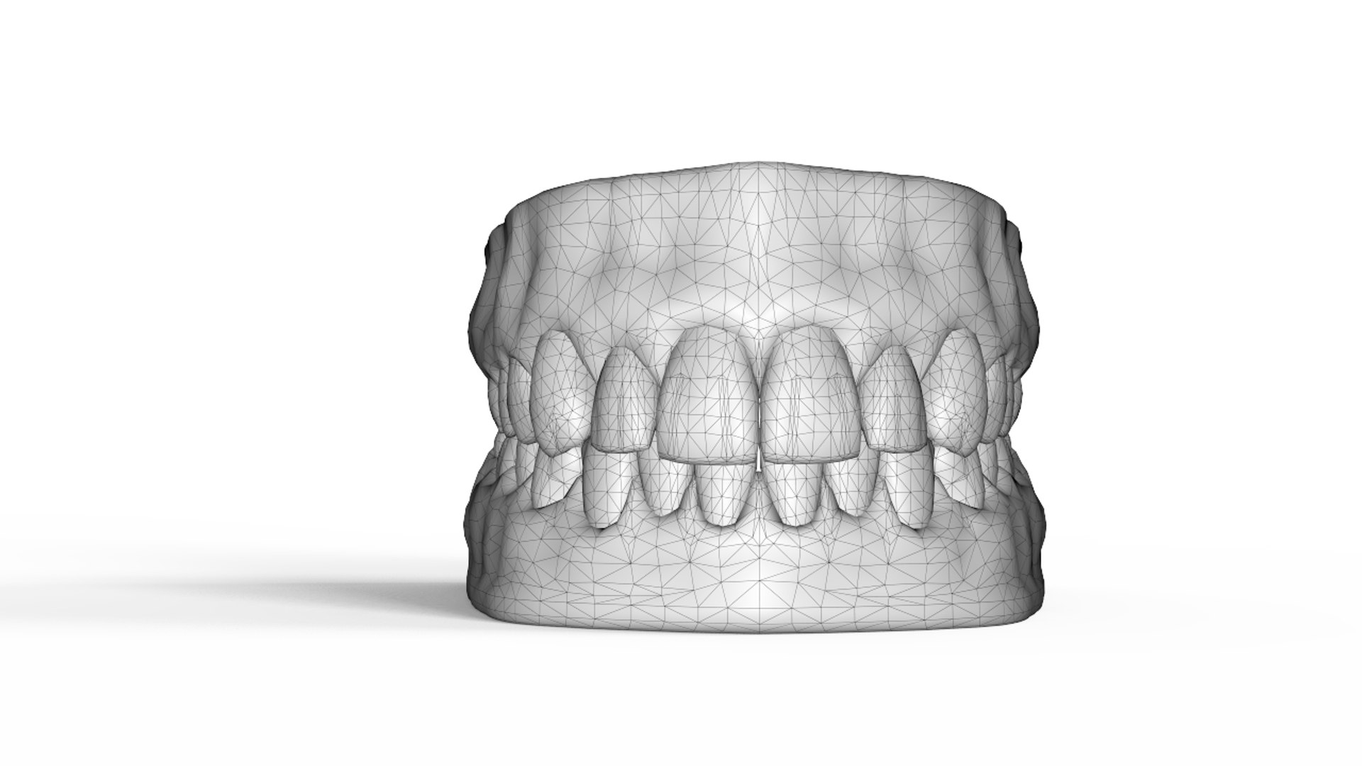 Human Teeth 3D - TurboSquid 1192676