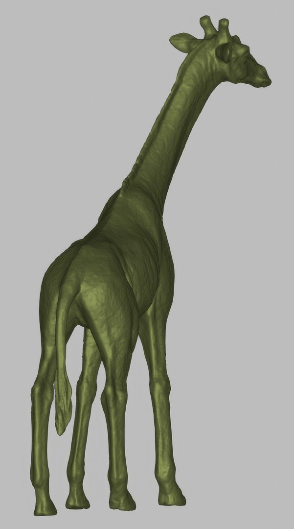 Giraffe 3D Model 3D - TurboSquid 2194172