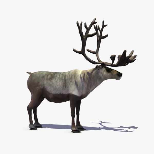 Reindeer 3D Models for Download | TurboSquid