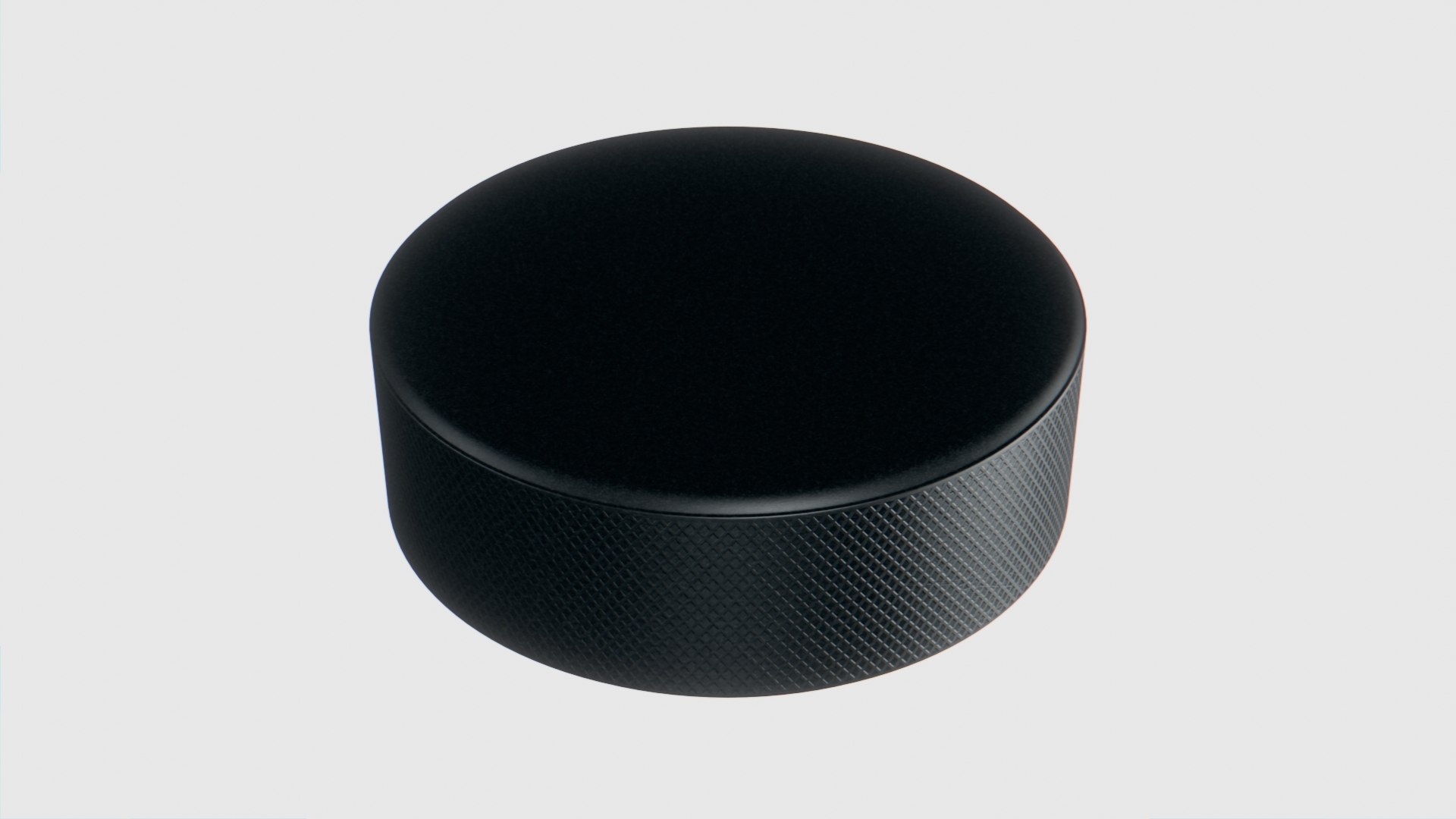 Hockey Puck 3D Model - TurboSquid 2288767