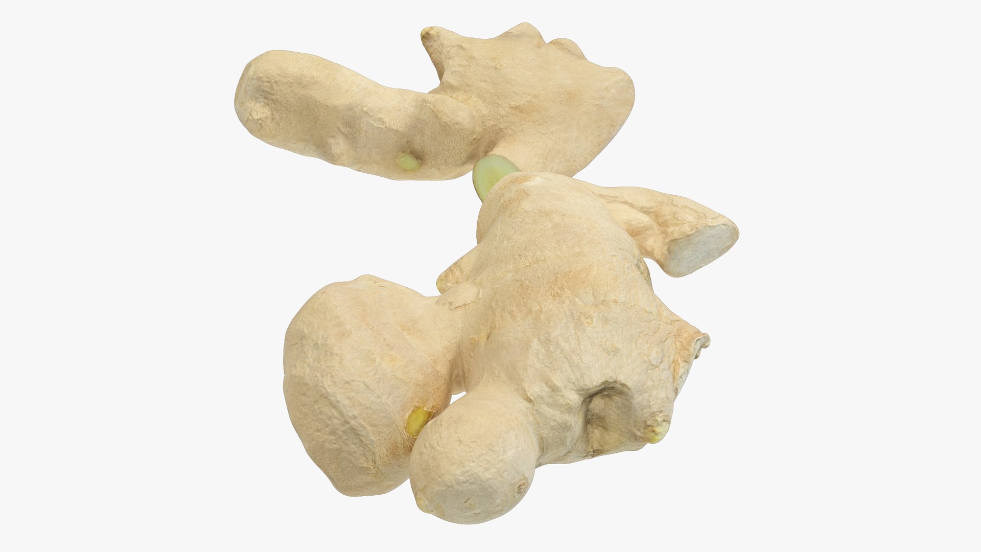 3D Ginger Cut V1 - TurboSquid 2190881