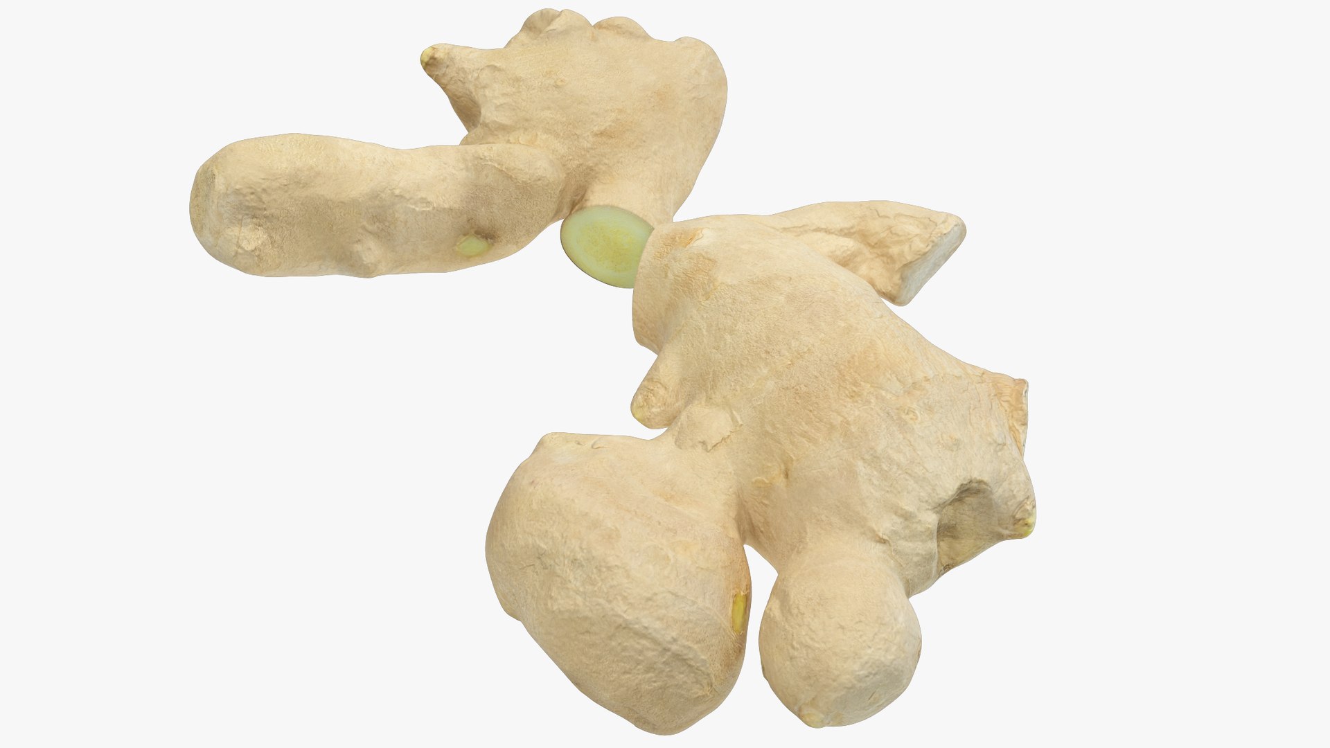 3D Ginger Cut V1 - TurboSquid 2190881