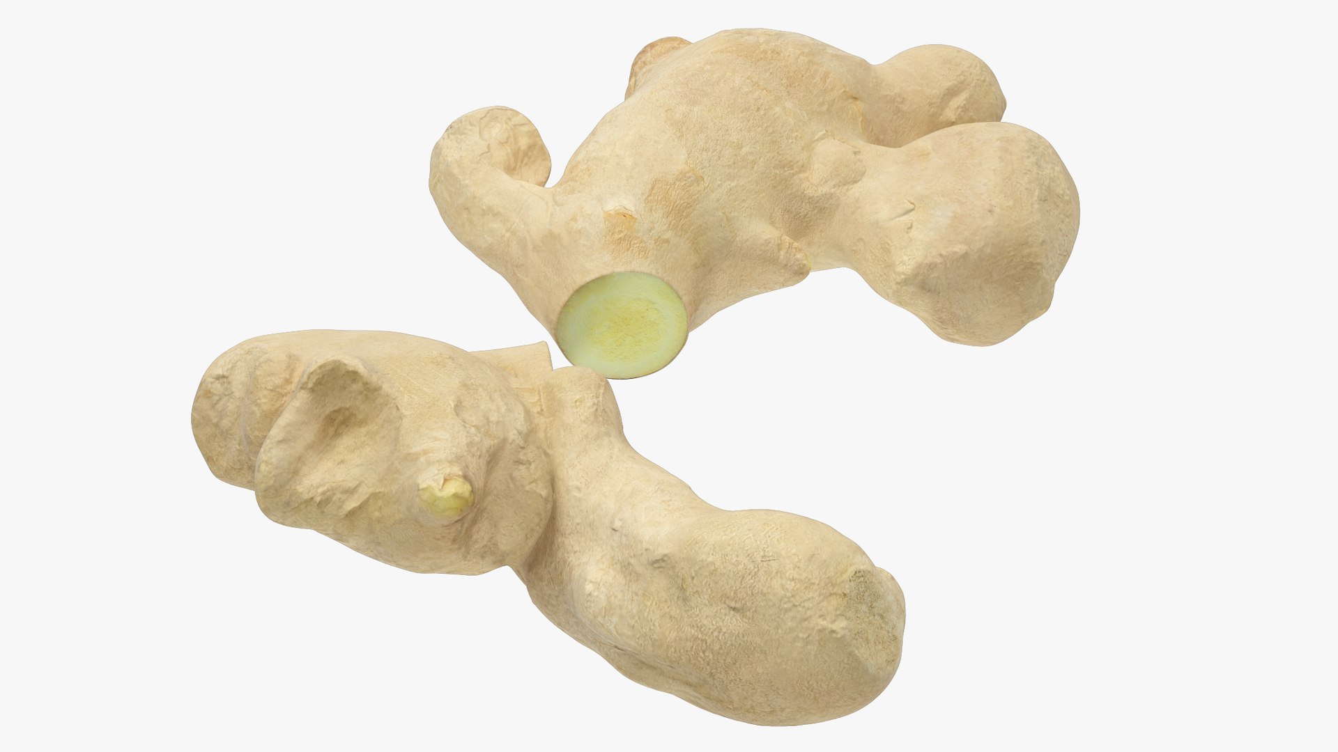 3D Ginger Cut V1 - TurboSquid 2190881