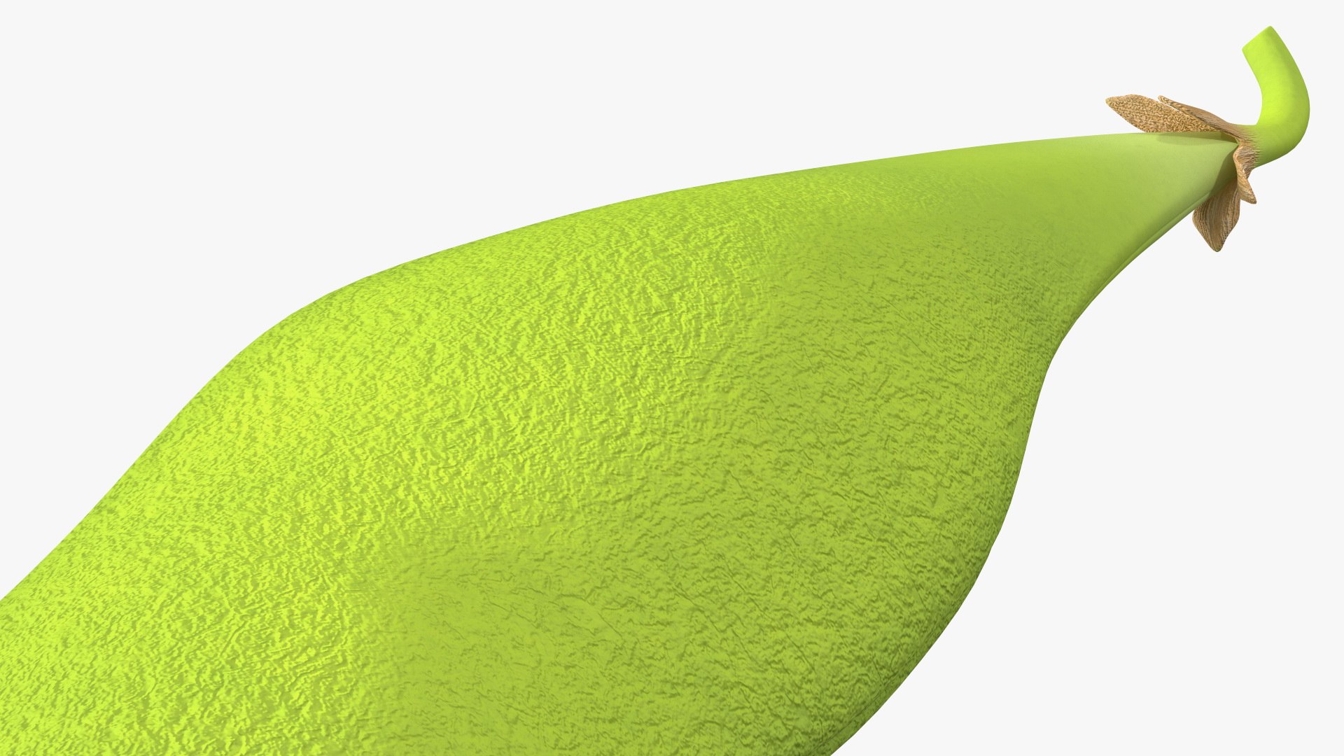 Green Soybean Pod 3D Model - TurboSquid 1882208