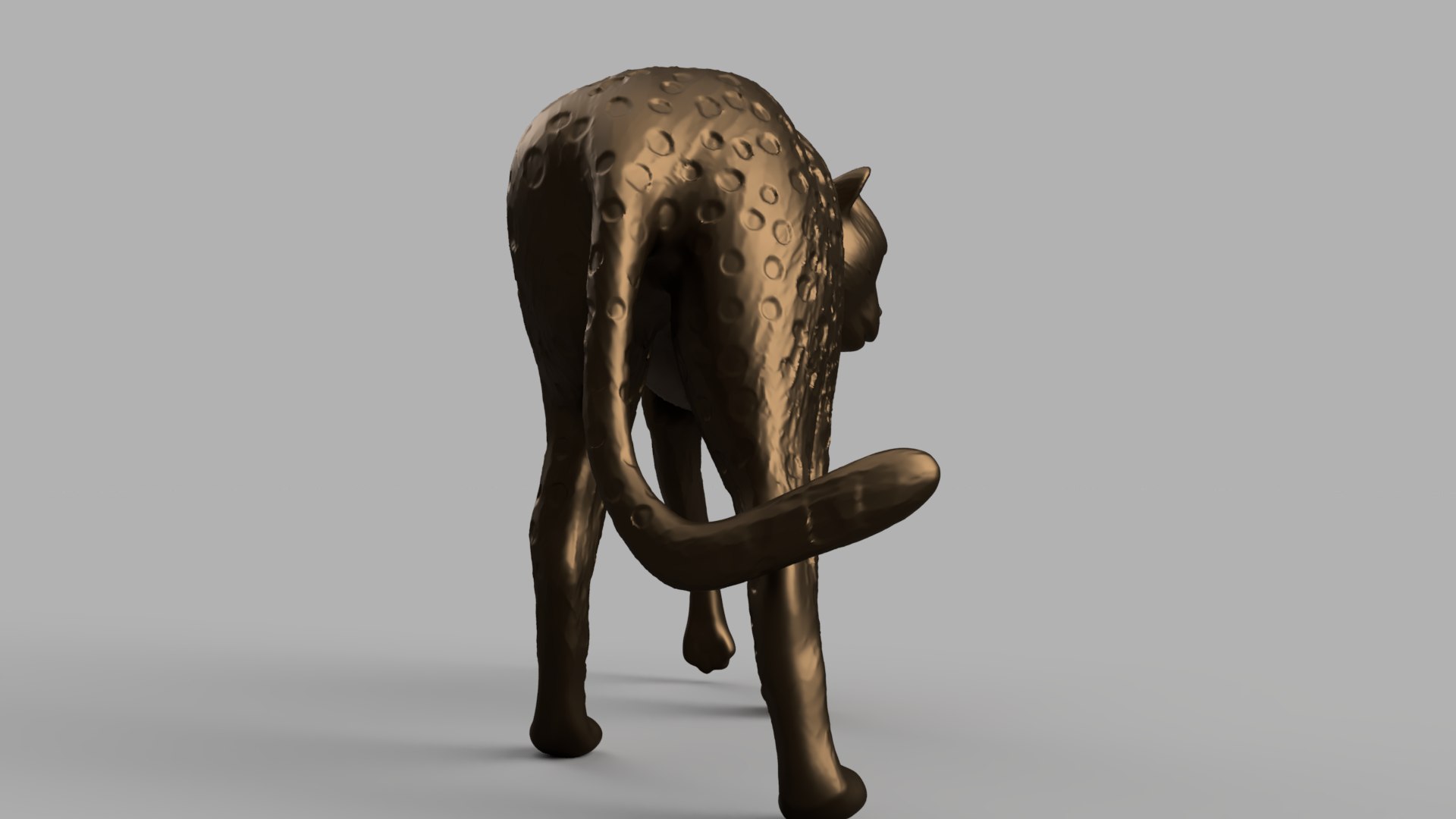 3D Cheetah Model - TurboSquid 2270901