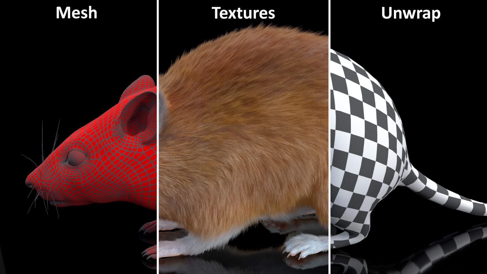 Kakadu Pebble-mound Mouse Base Pose Fur 3D - TurboSquid 2199208