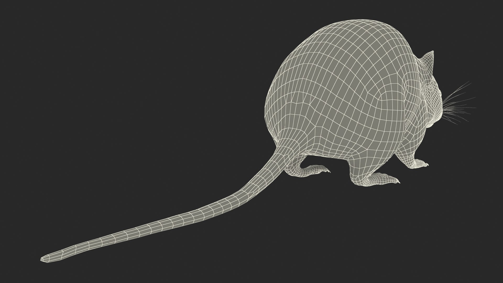 Kakadu Pebble-mound Mouse Base Pose Fur 3D - TurboSquid 2199208