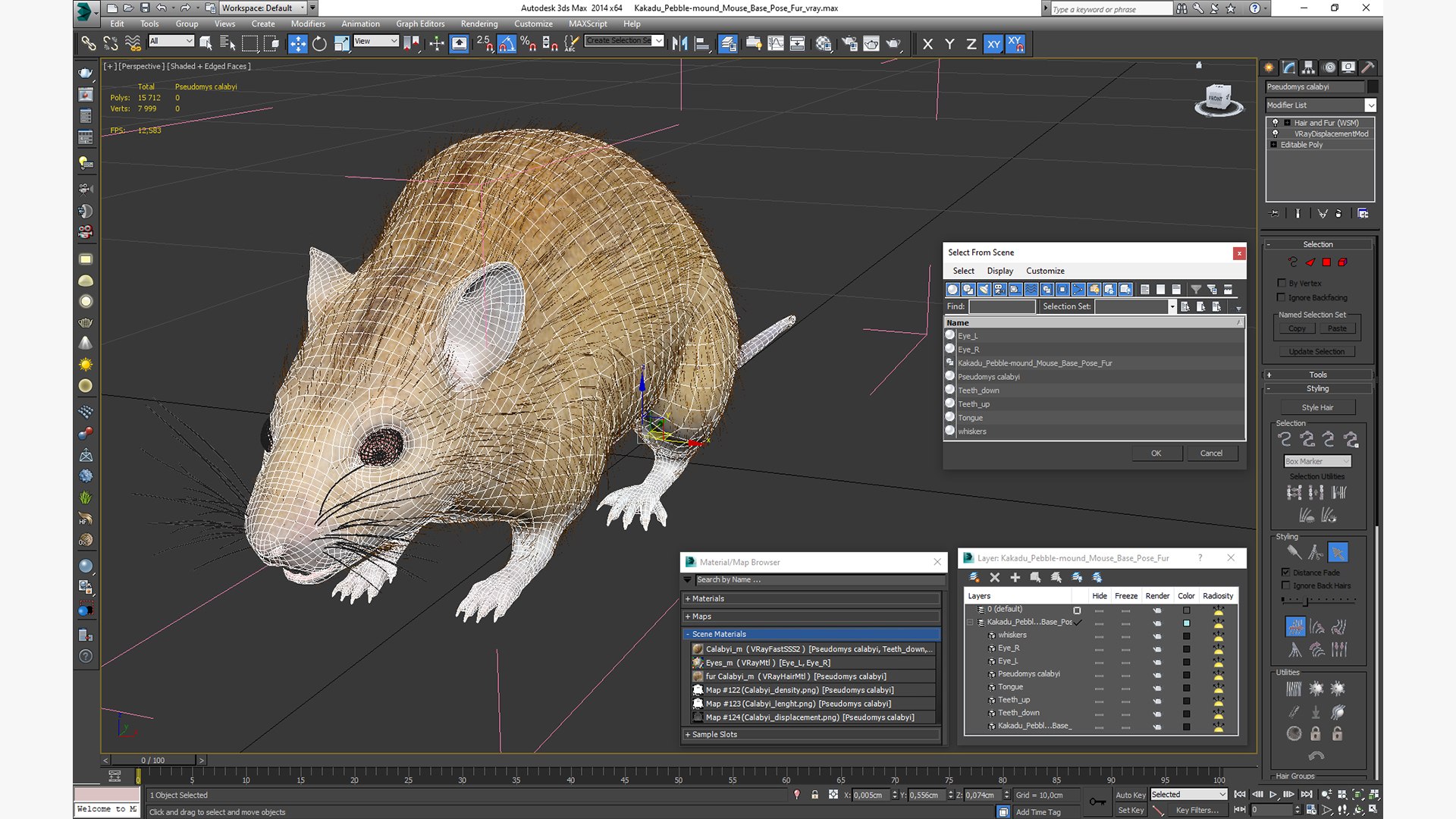 Kakadu Pebble-mound Mouse Base Pose Fur 3D - TurboSquid 2199208