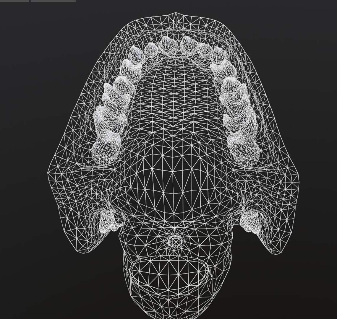 Mouth teeth 3D model - TurboSquid 1656006