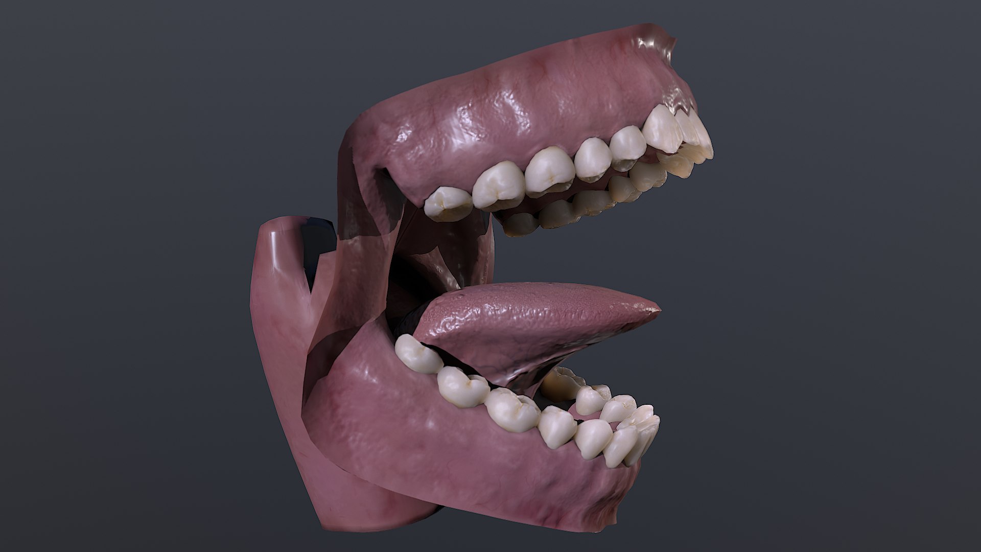 Mouth teeth 3D model - TurboSquid 1656006