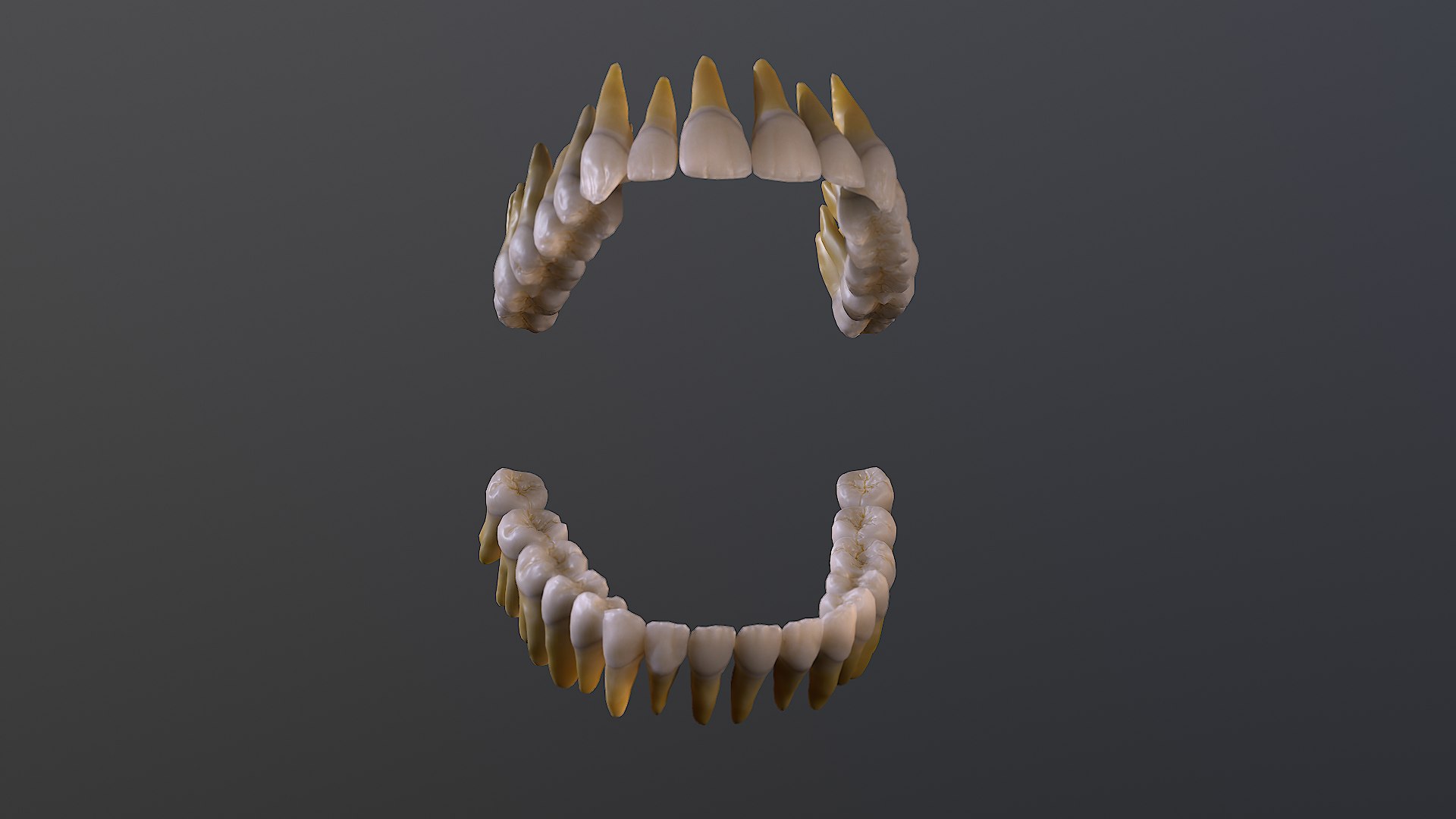 Mouth teeth 3D model - TurboSquid 1656006