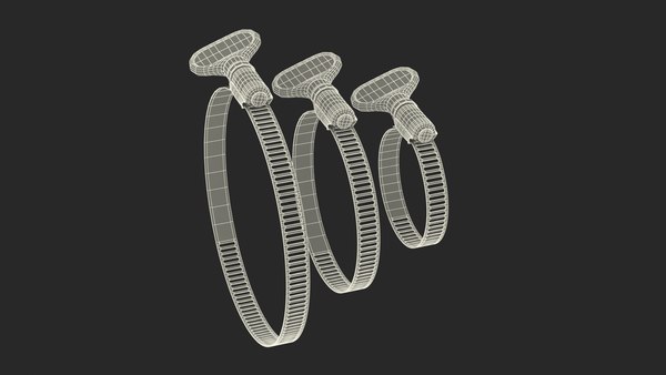 Worm Gear Hose Clamp with Key Set 3D - TurboSquid 1816679