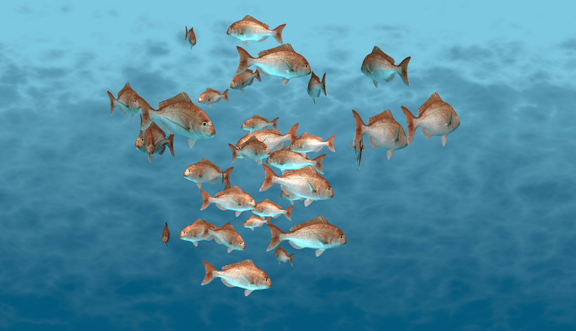 Rigged Fish School Animation 3D Model - TurboSquid 1327054
