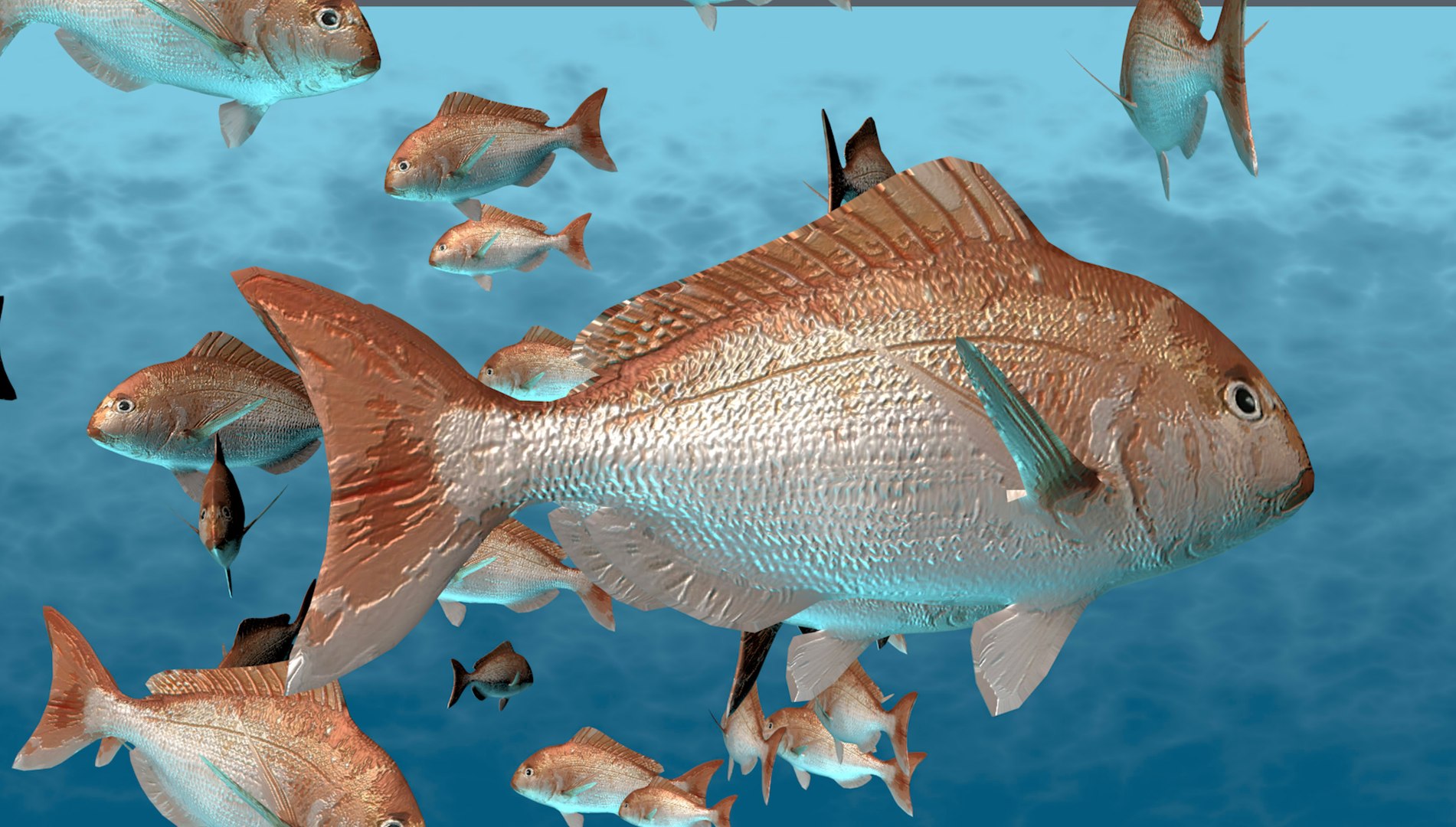 Rigged Fish School Animation 3D Model - TurboSquid 1327054