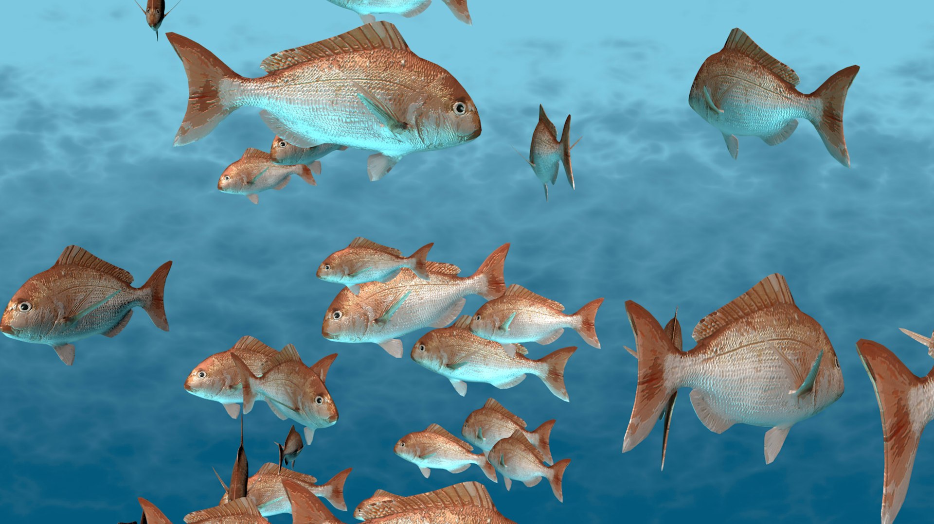 Rigged Fish School Animation 3D Model - TurboSquid 1327054