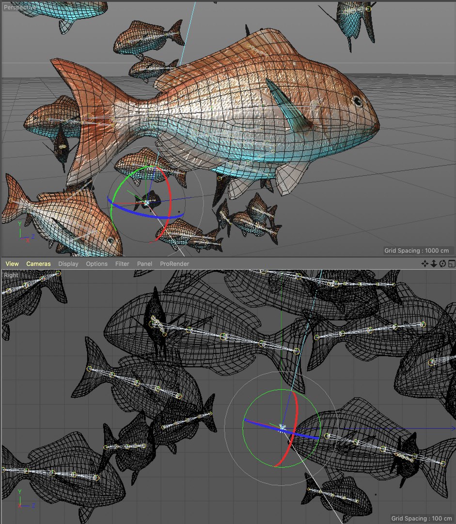 Rigged Fish School Animation 3D Model - TurboSquid 1327054