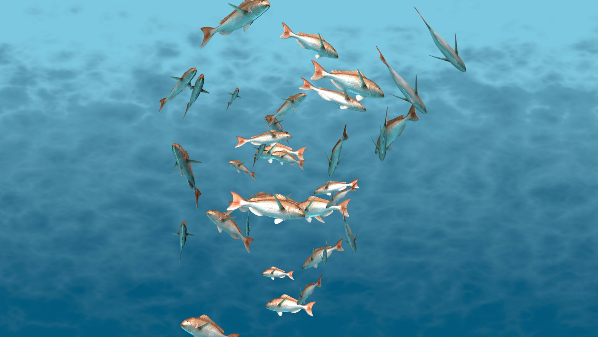 Rigged Fish School Animation 3D Model - TurboSquid 1327054