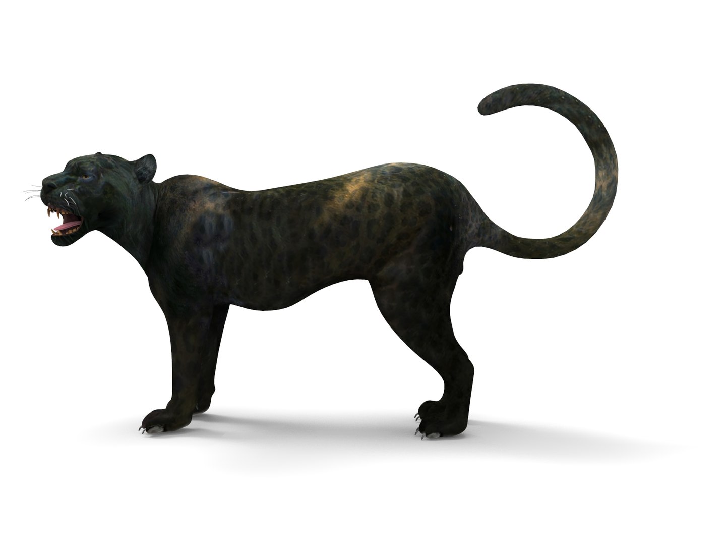 Panther rigged animation 3D - TurboSquid 1288598
