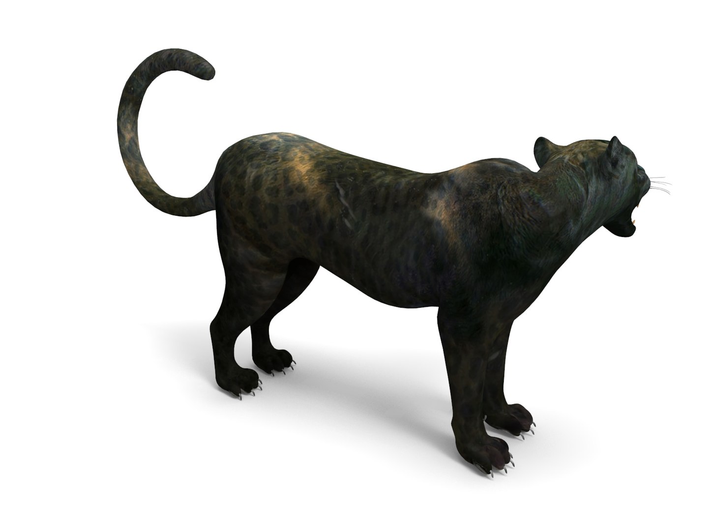 Panther rigged animation 3D - TurboSquid 1288598
