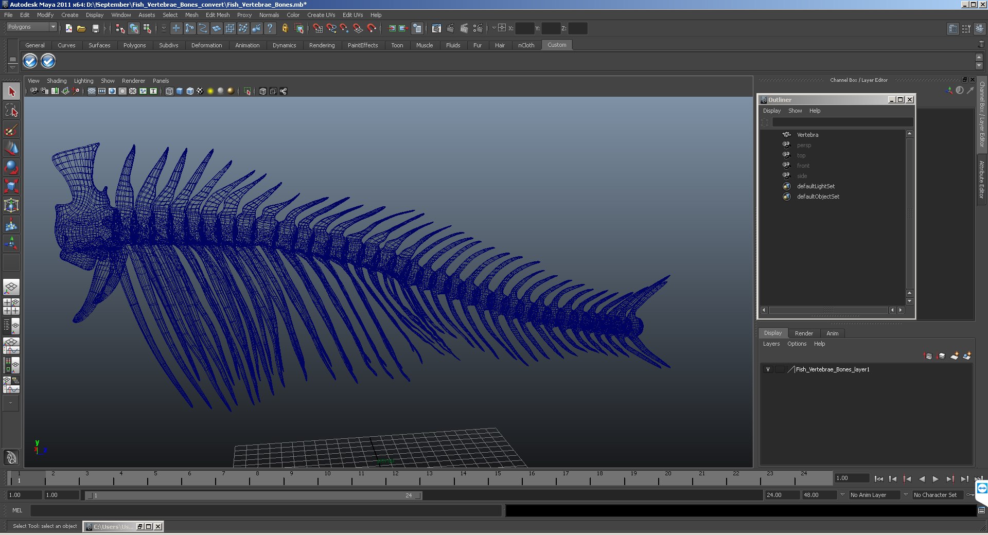 Fish Vertebrae Bones 3D Model - TurboSquid 1329296
