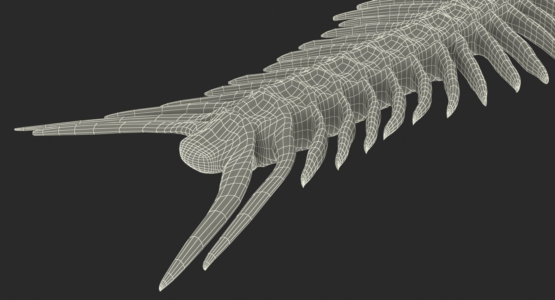 Fish Vertebrae Bones 3D Model - TurboSquid 1329296