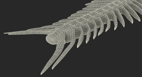 modelo 3d Huesos de vértebras de pescado - TurboSquid 1329296