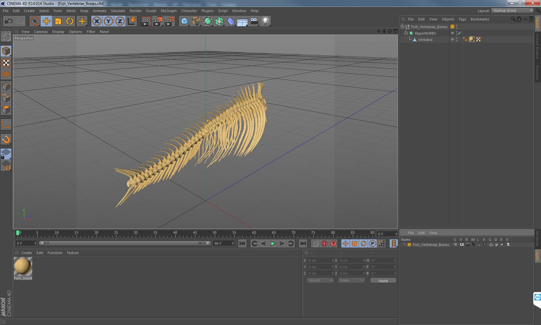 Fish Vertebrae Bones 3D Model - TurboSquid 1329296
