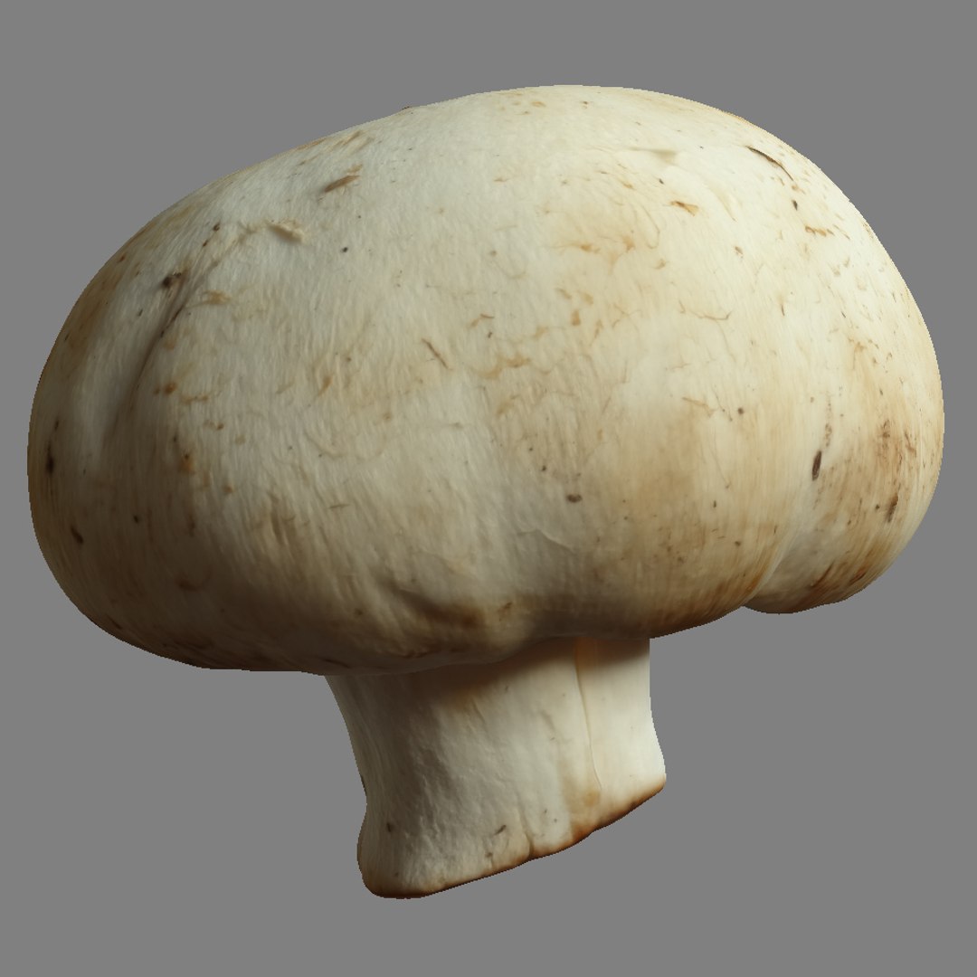 3d Model Of Mushroom