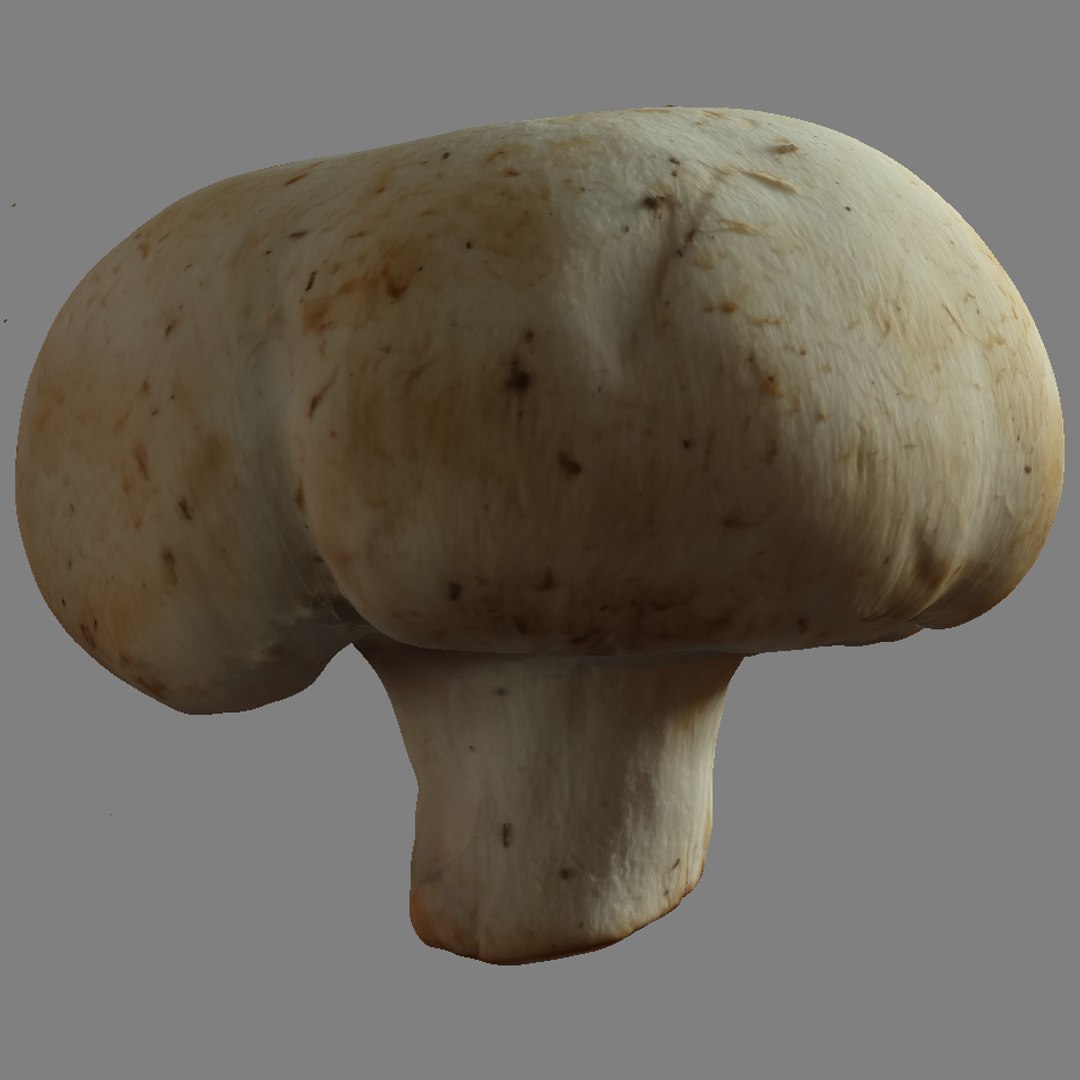 3d Model Of Mushroom