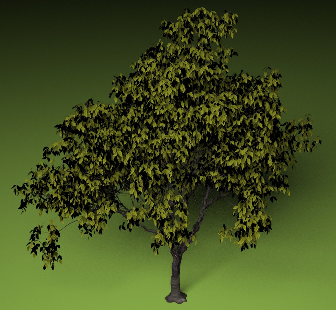 3d Trees