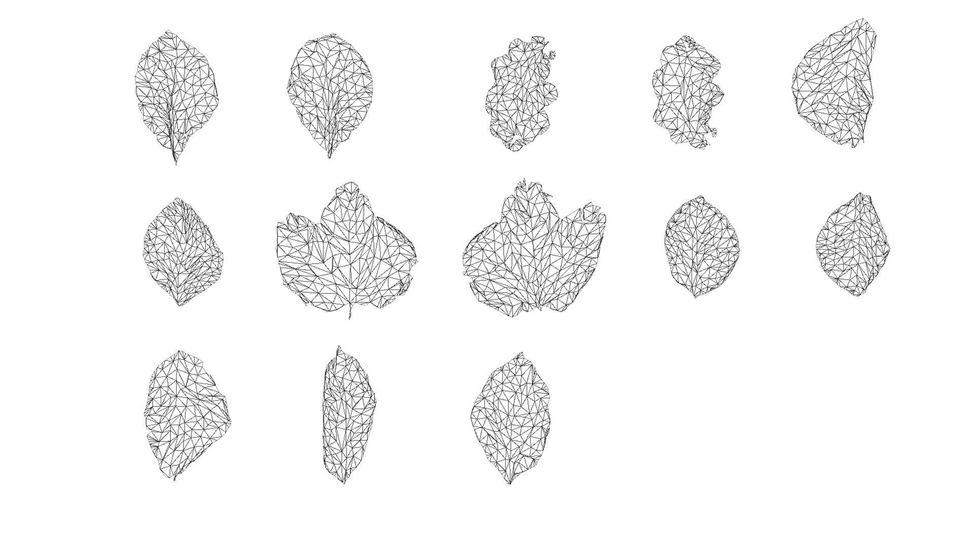 3D Scanned Leaves - TurboSquid 1963149