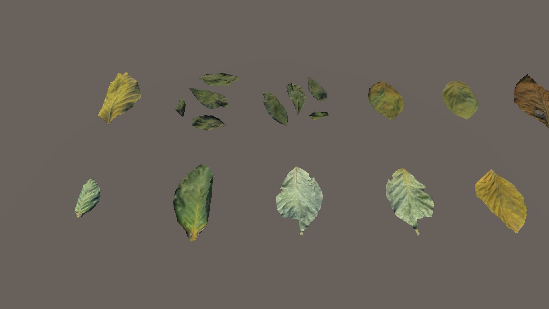 3D Scanned Leaves - TurboSquid 1963149