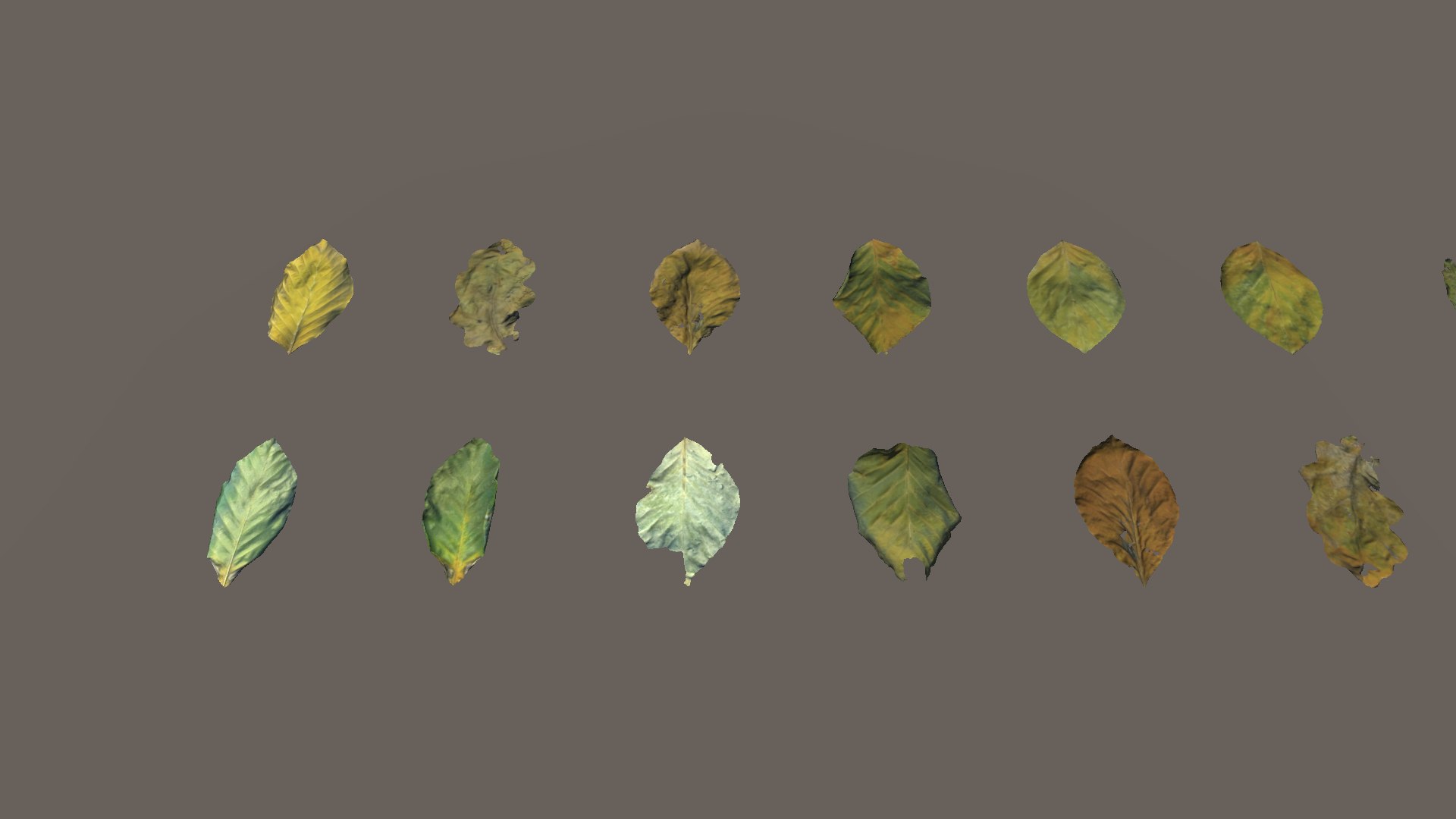 3D Scanned Leaves - TurboSquid 1963149