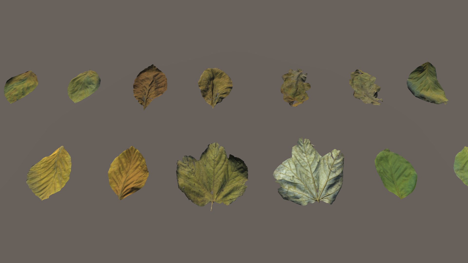 3D Scanned Leaves - TurboSquid 1963149