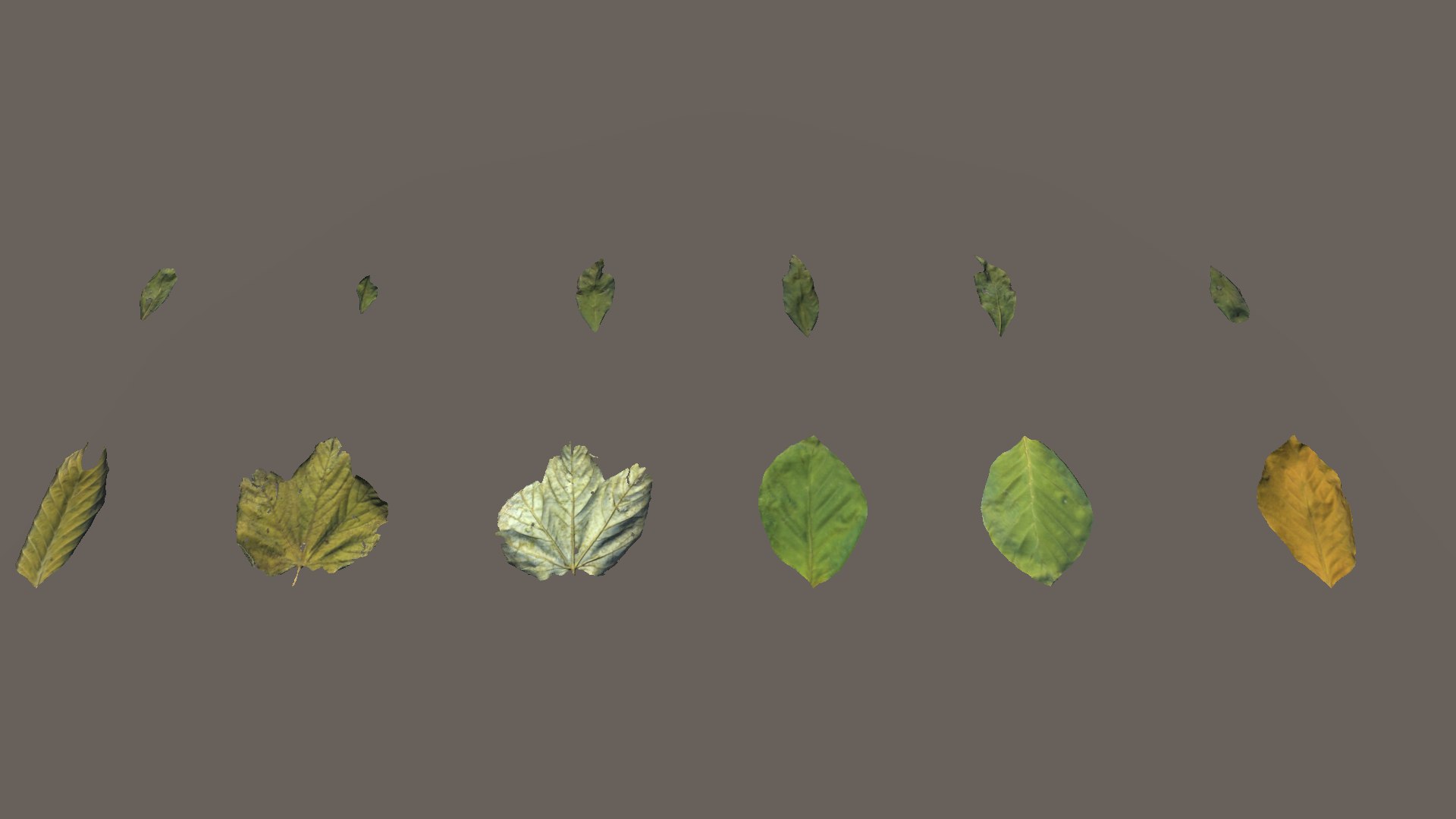 3D Scanned Leaves - TurboSquid 1963149