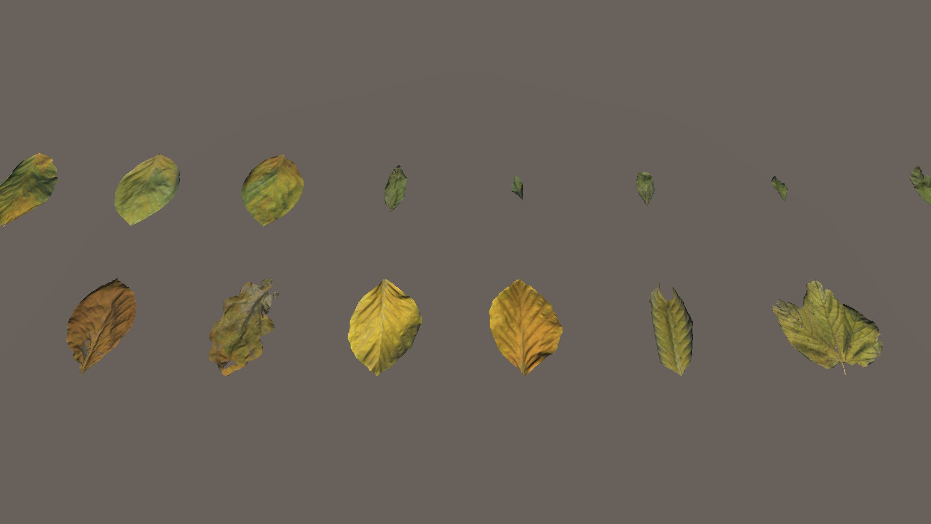 3D Scanned Leaves - TurboSquid 1963149