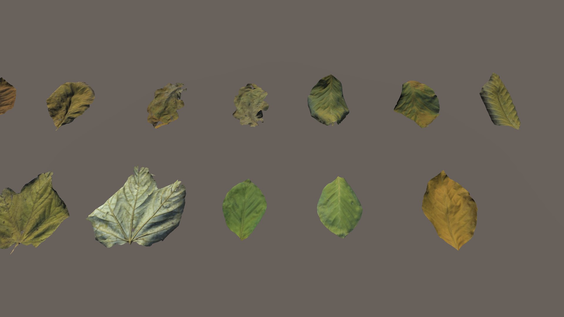 3D Scanned Leaves - TurboSquid 1963149