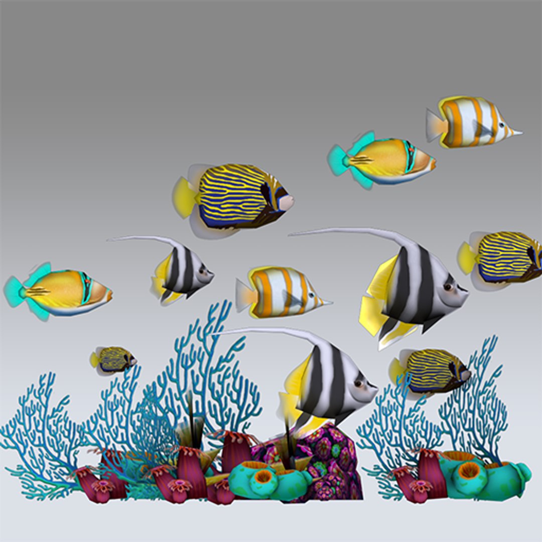 sea fish fbx
