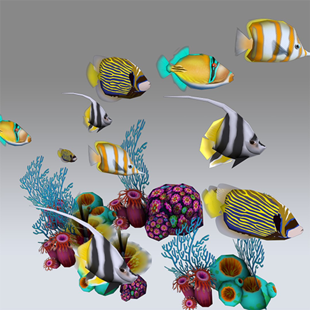 sea fish fbx