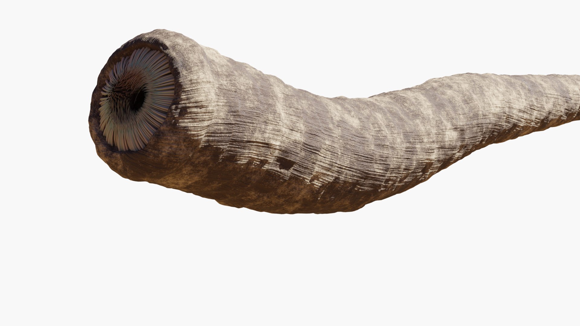 Dune Shai-Hulud Sandworm 3D Model - TurboSquid 2206454
