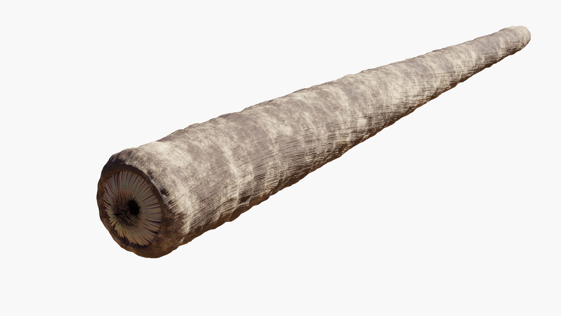 Dune Shai-Hulud Sandworm 3D Model - TurboSquid 2206454